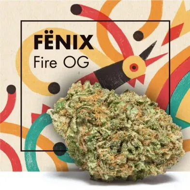 Flor CBD Fënix Fire OG Cannactiva
